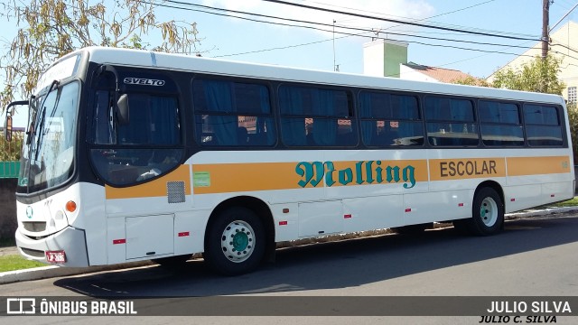 Molling 16 em Esteio por JULIO SILVA - ID:9332068 - Ônibus Brasil