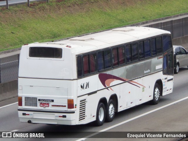 Garanito 8020 em São José dos Campos por Ezequiel Vicente Fernandes ...